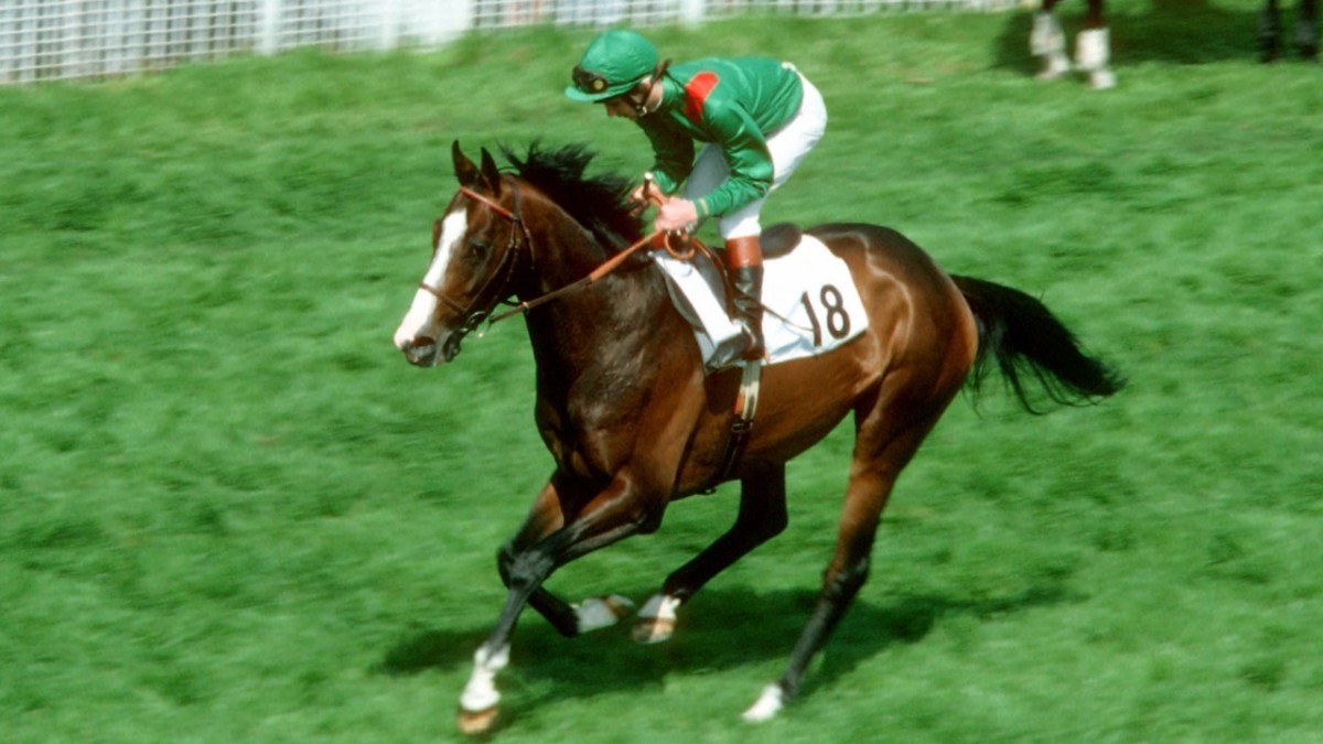 What was Shergar's race record? - HorseRacingQA.com