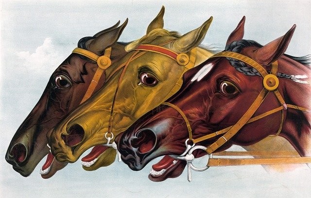 What happened to Shergar? - HorseRacingQA.com