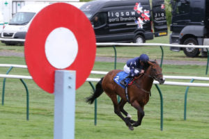 How many lengths are there in a furlong? - HorseRacingQA.com