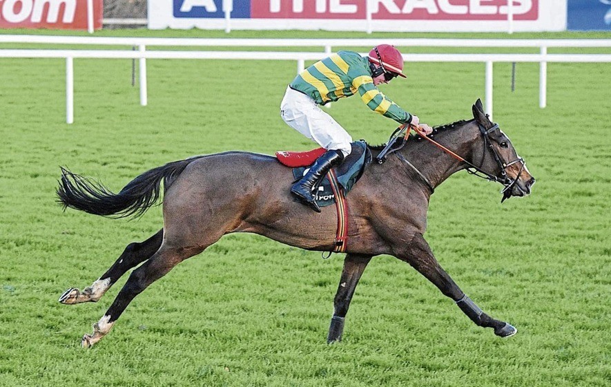 Which horse owned by John P. McManus' has earned the highest Racing ...