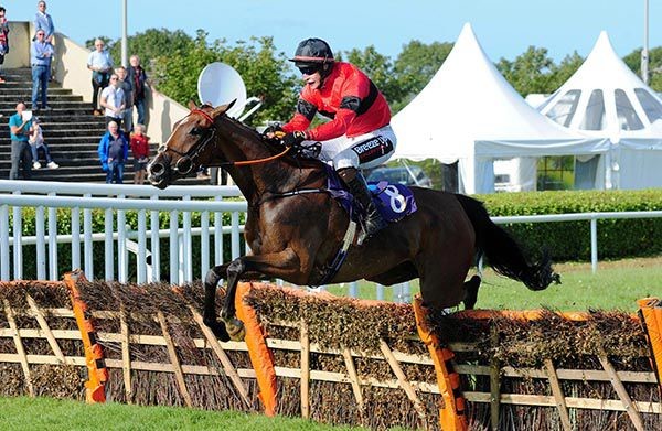 HorseRacingQA.com - Your number one racing questions and answers site